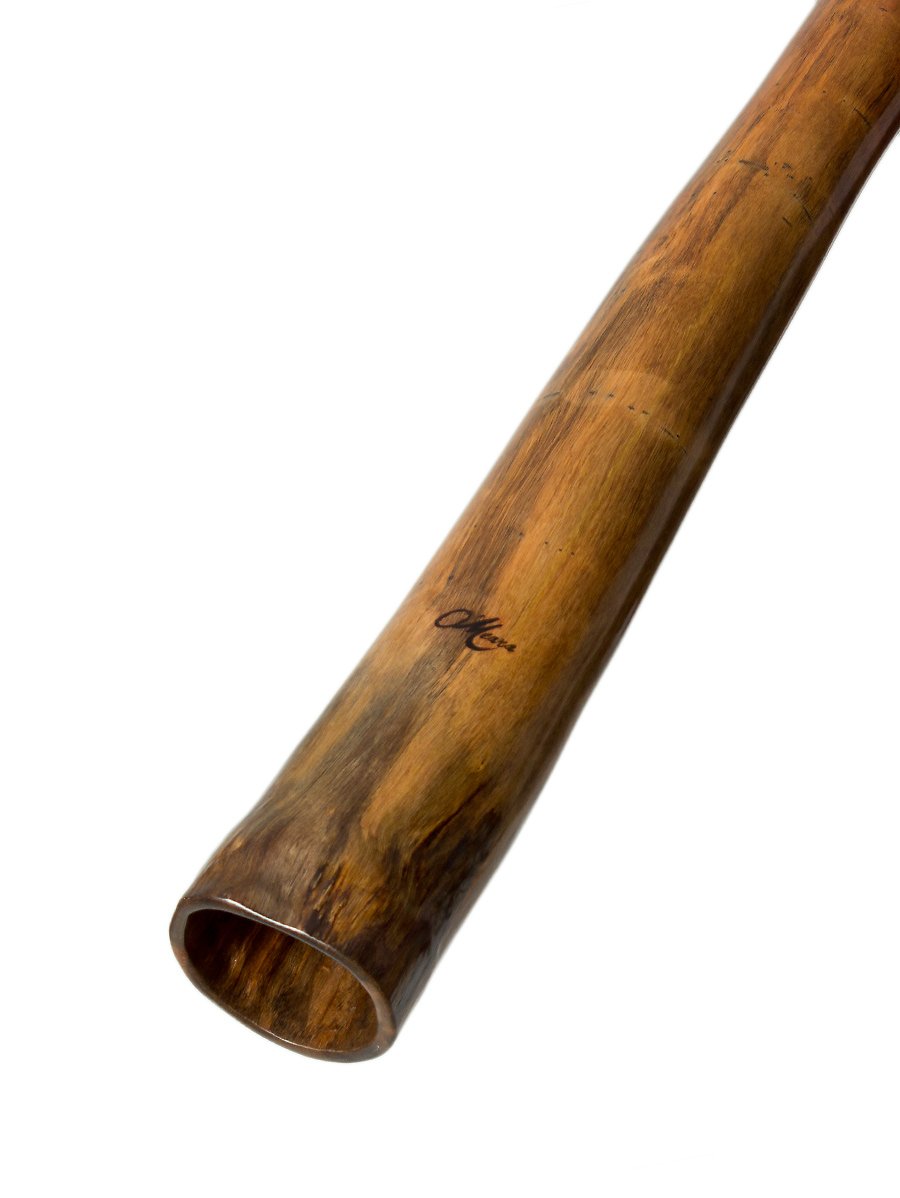 Tristan O'Meara Authentic Didgeridoos - Buy Online or in our Sydney ...