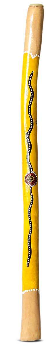 Lionel Phillips Authentic Hand Painted Didgeridoos For Sale - Buy ...