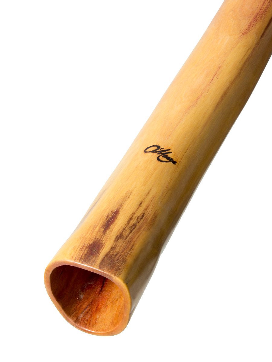 Tristan O'Meara Authentic Didgeridoos - Buy Online or in our Sydney ...