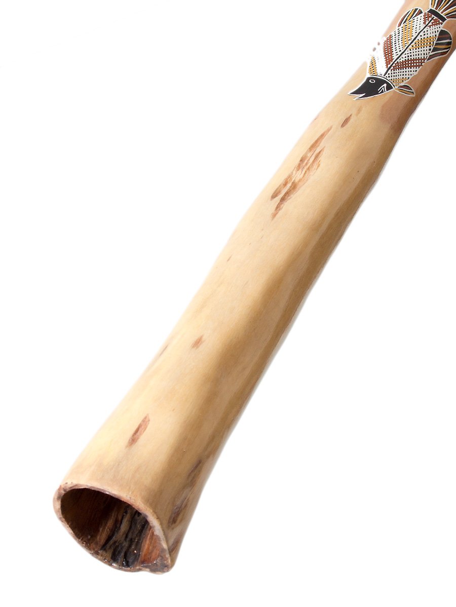 Earl Clements Authentic Eucalytpus Didgeridoos for Sale