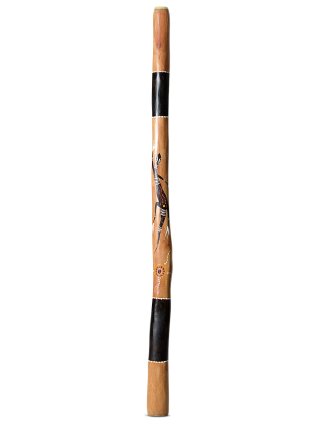 Authentic Aboriginal Didgeridoo by Nathan Falk - Buy a Didgeridoo ...